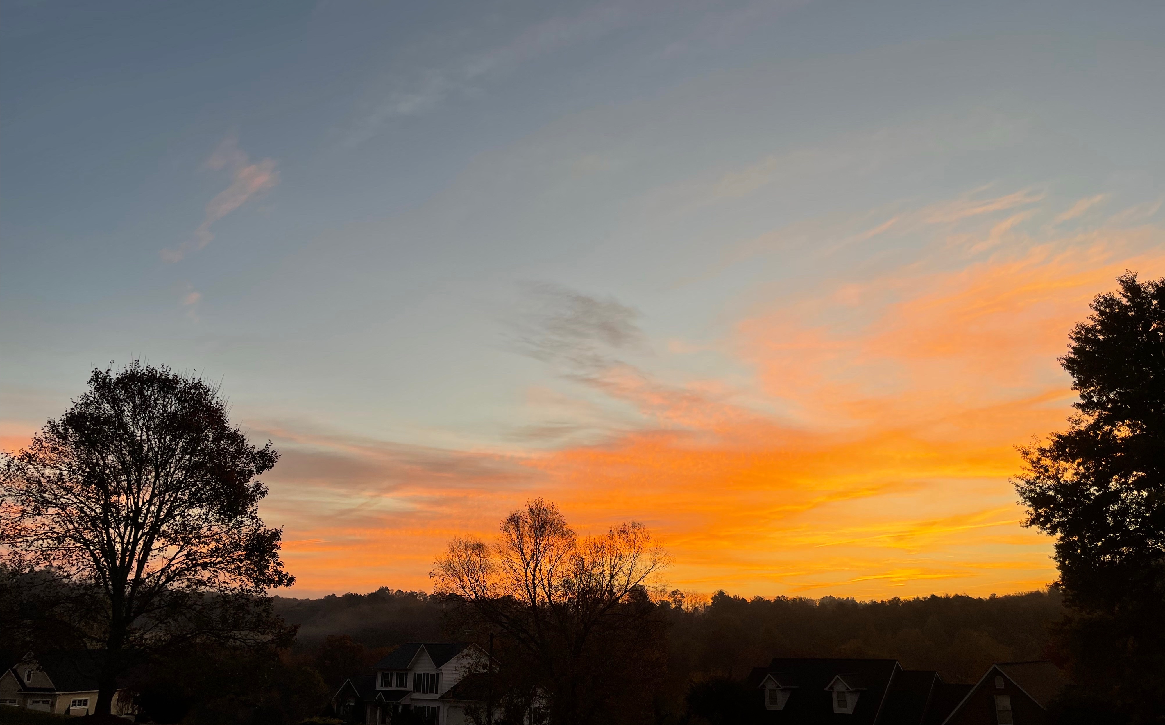 Fall 2023 Photography Favorites | The Hardware Life – A wife's journey ...