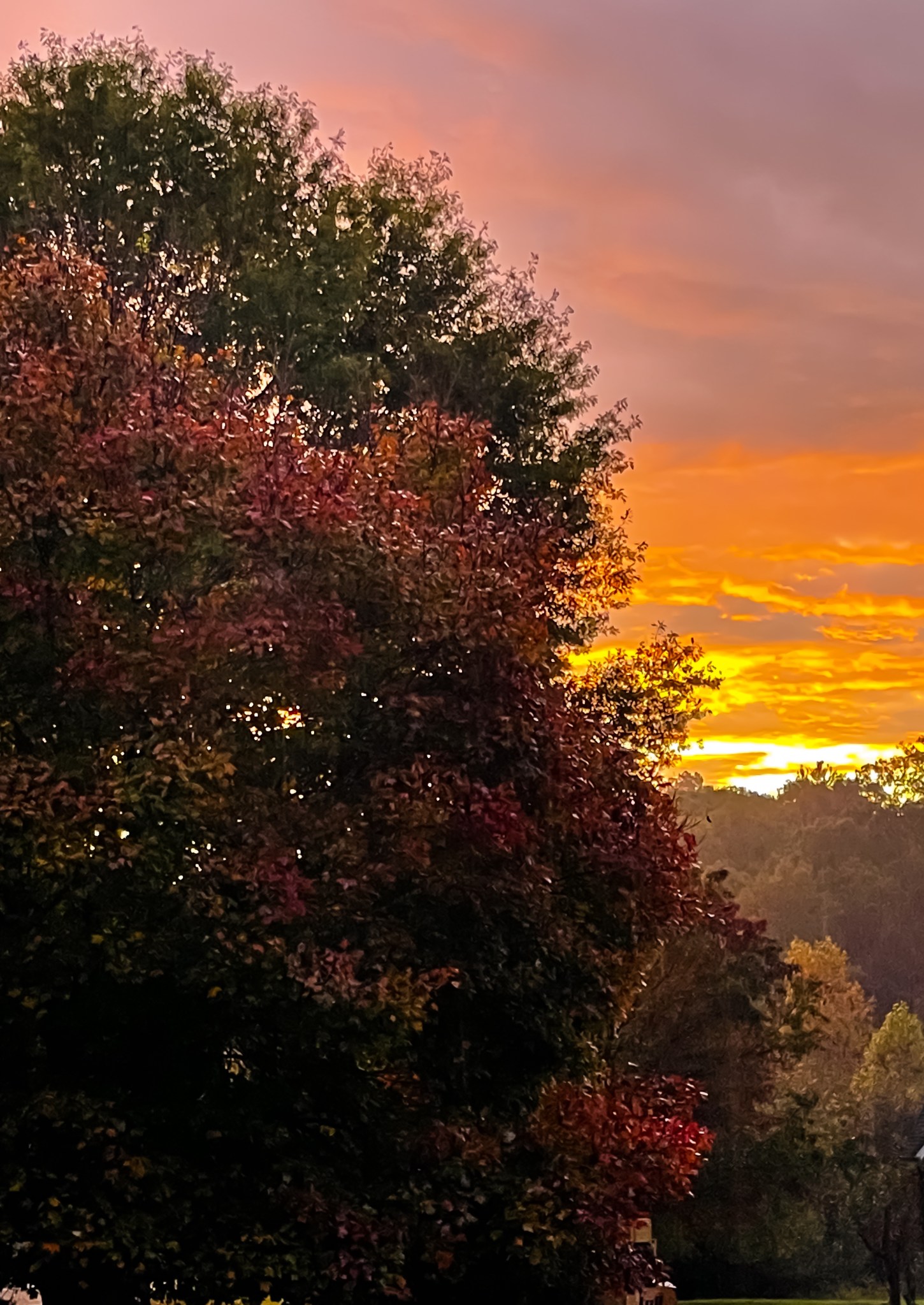 Fall 2023 Photography Favorites | The Hardware Life – A wife's journey ...