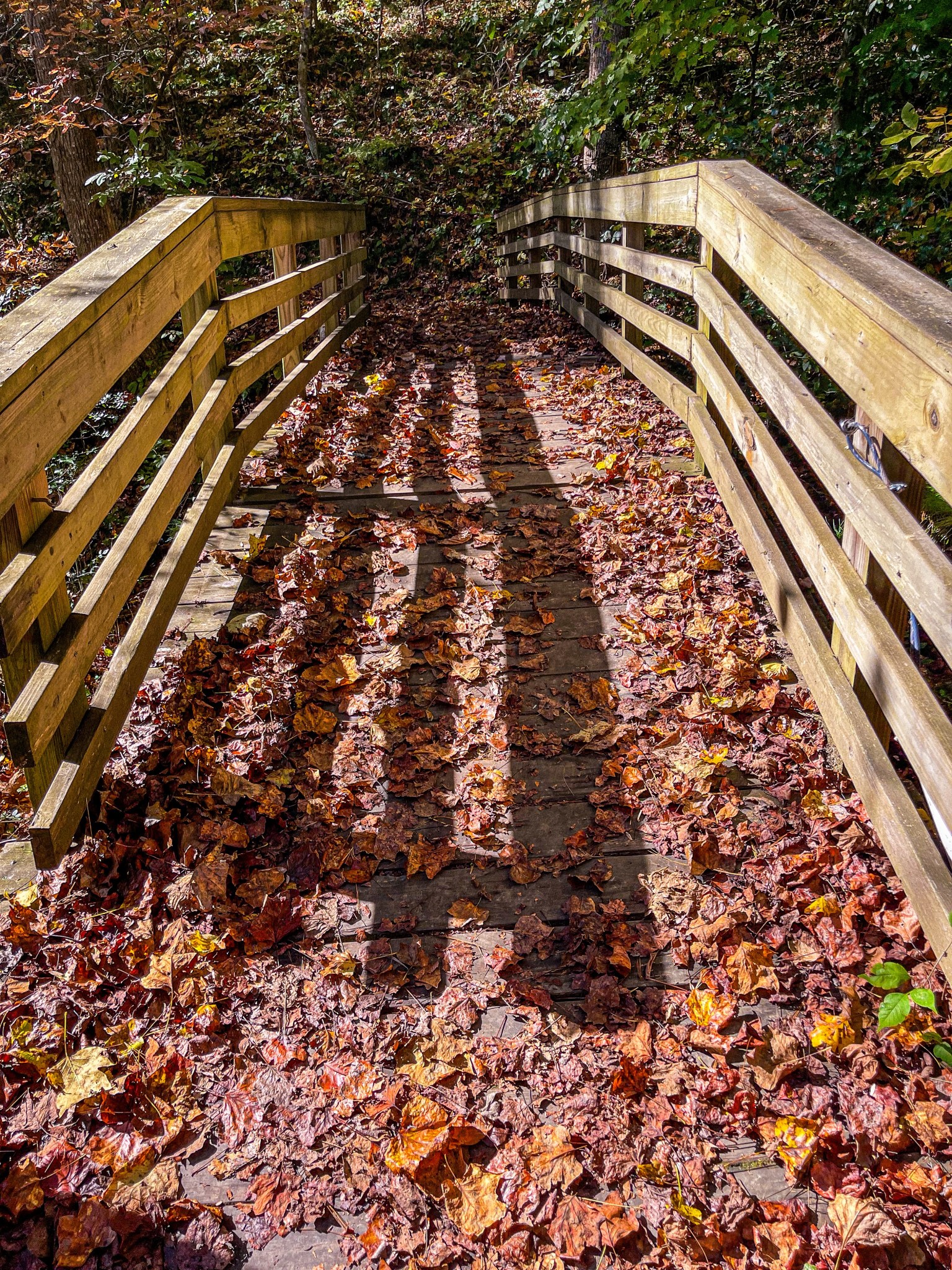Fall 2023 Photography Favorites | The Hardware Life – A wife's journey ...