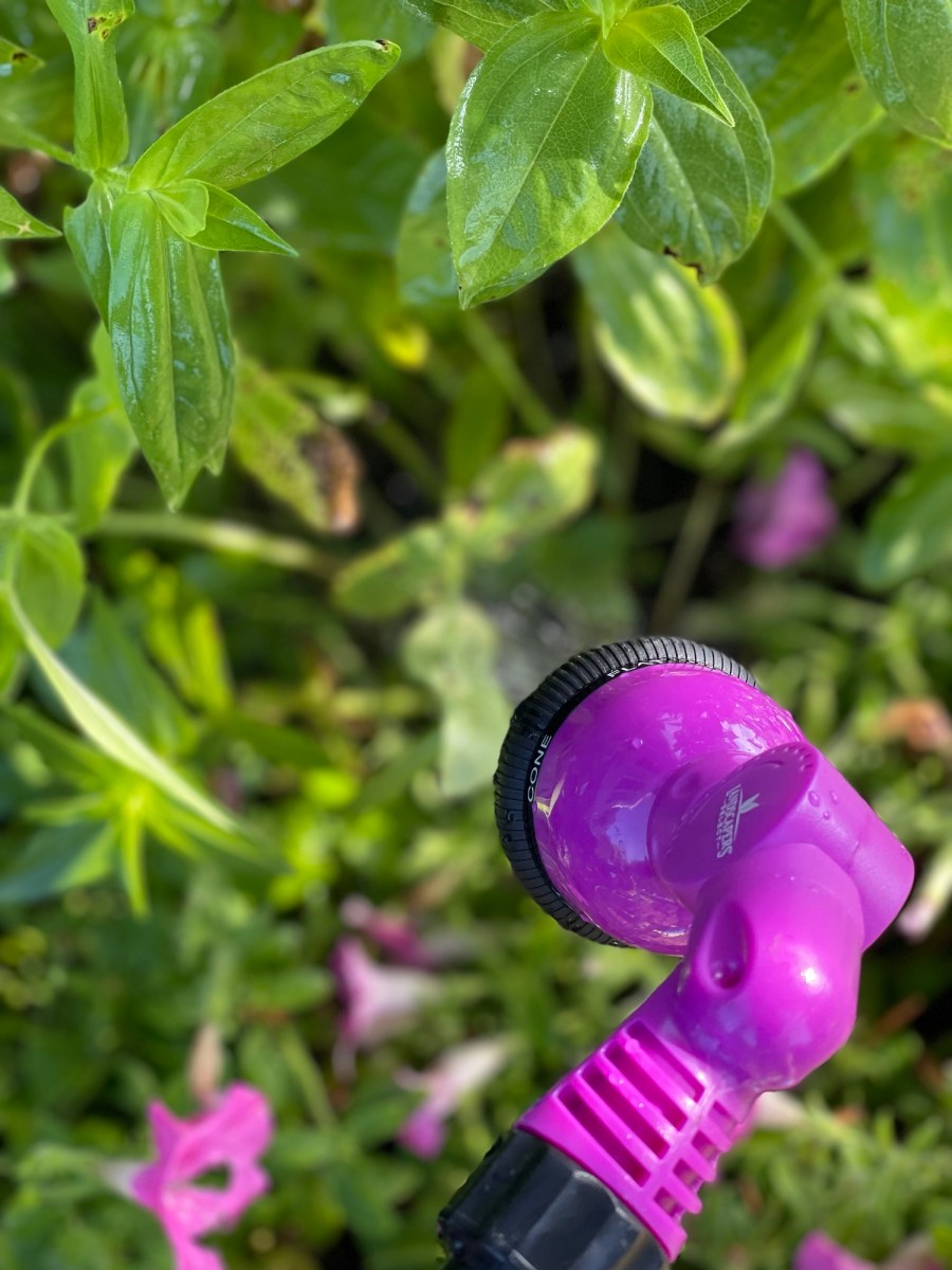 Summer Watering Tips | The Hardware Life – A wife's journey into the ...